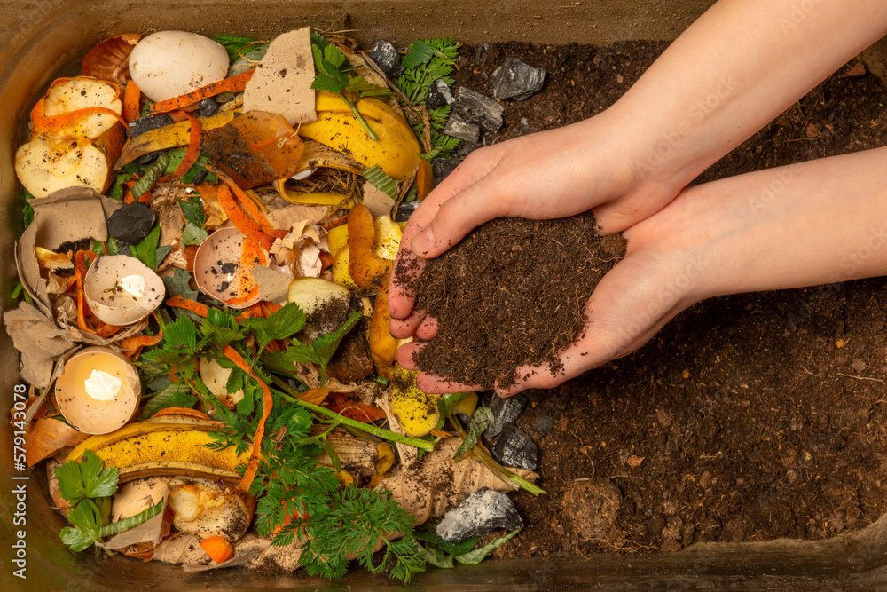 organic compost - biodegradable kitchen waste and soil. Layers of ...
