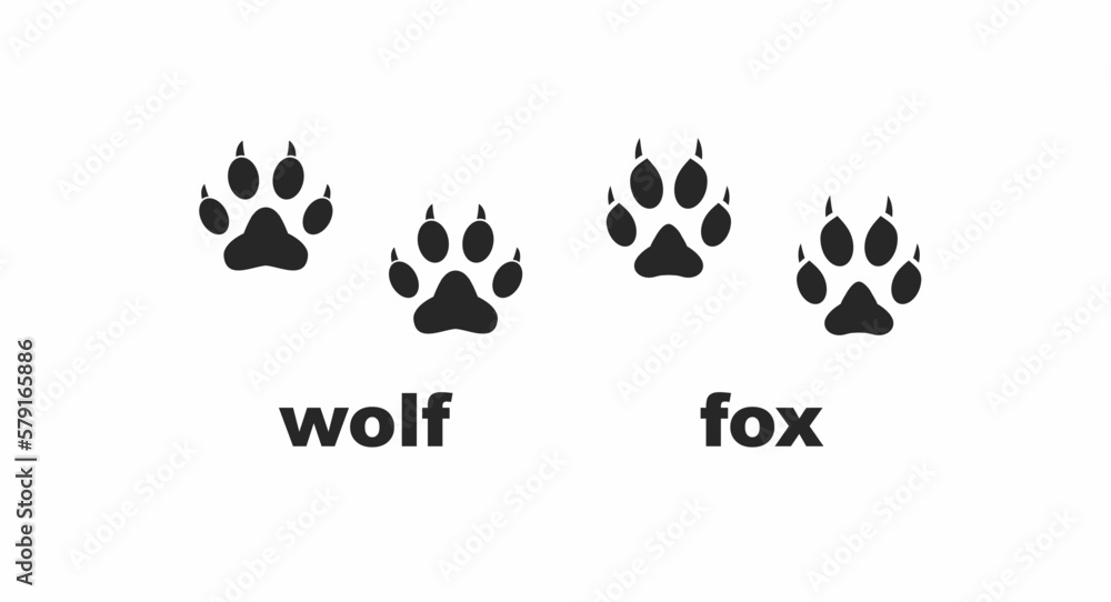 wolf and fox foot Prints Icon Set Isolated on White Background. Vector ...