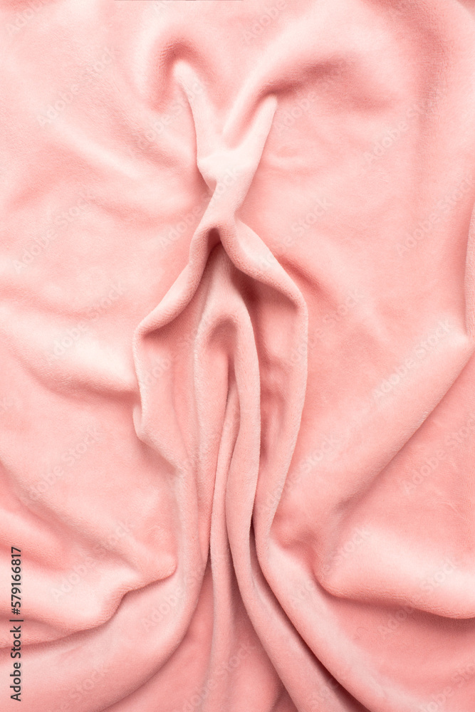 Pink Soft Fabric Shaped As Female Genital Organs Vulva And Labia