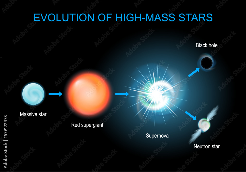 Stellar evolution. Life cycle of massive star Stock Vector | Adobe Stock