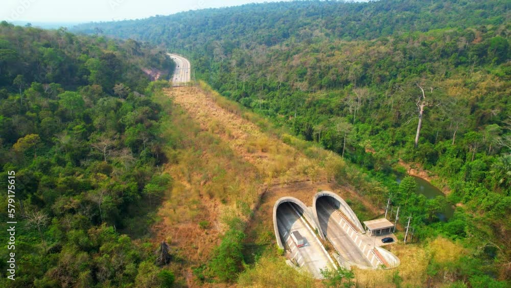 Video Stock Drone footage captures stunning wildlife corridor bridge ...
