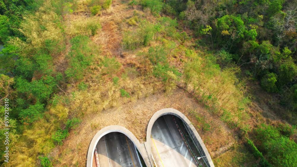 Experience the beauty of nature with aerial footage of a wildlife ...