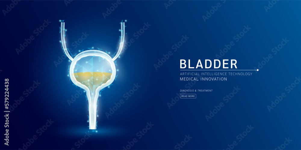 Website template. Human bladder anatomy translucent low poly triangles ...