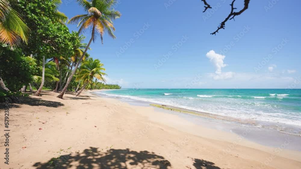 Landscape of a pristine clean beach and transparent sea wave on a ...