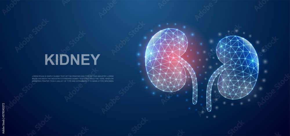 Kidneys 3d low poly symbol with pain center for landing page template. Kidneys pain, urinary ...