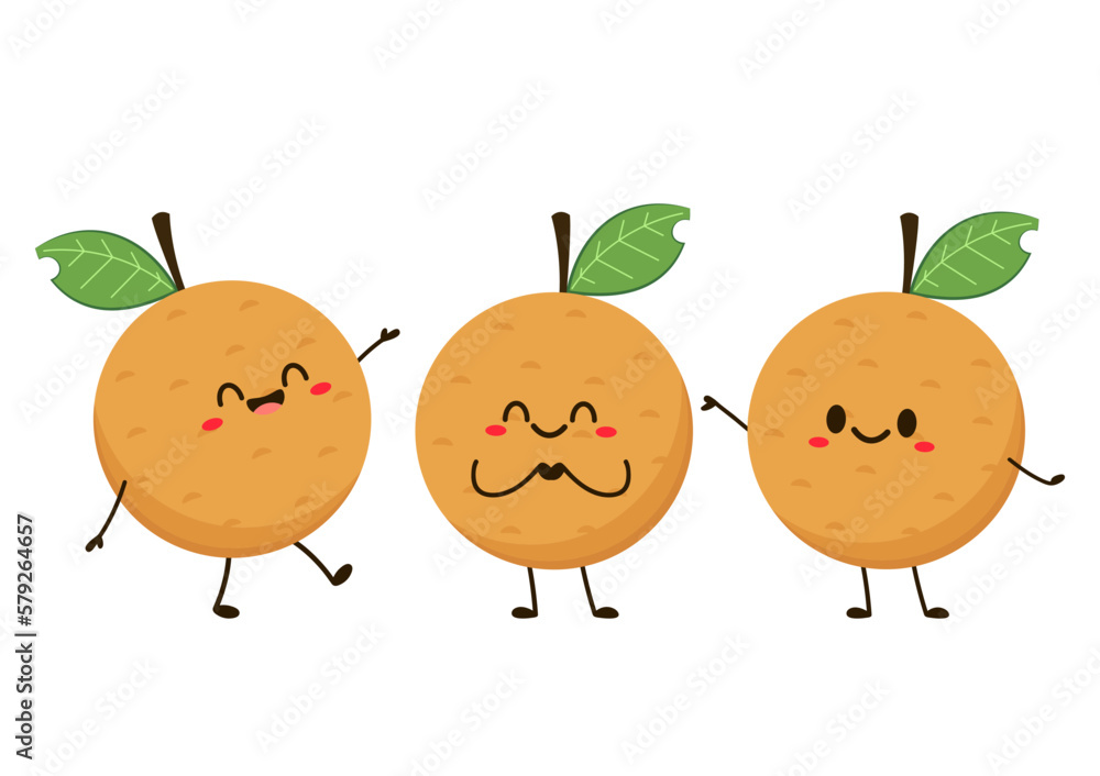 Longan cartoon vector. Summer tropical fruits for healthy lifestyle ...