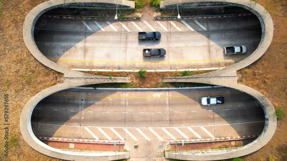 A wildlife corridor bridges reveals a vital connection for wildlife ...
