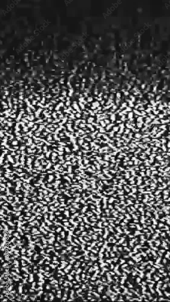 Vertical video. Analog glitch. Old TV static noise. Black white real ...