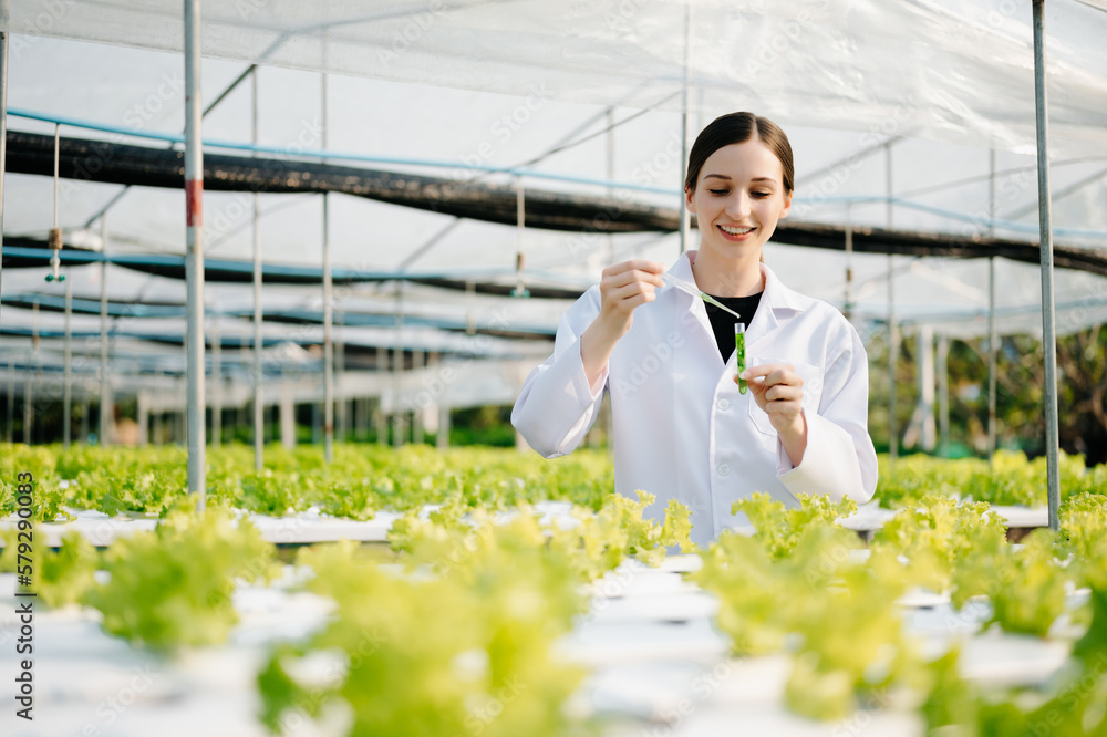 Researcher in white uniform are checking with ph strips in hydroponic ...