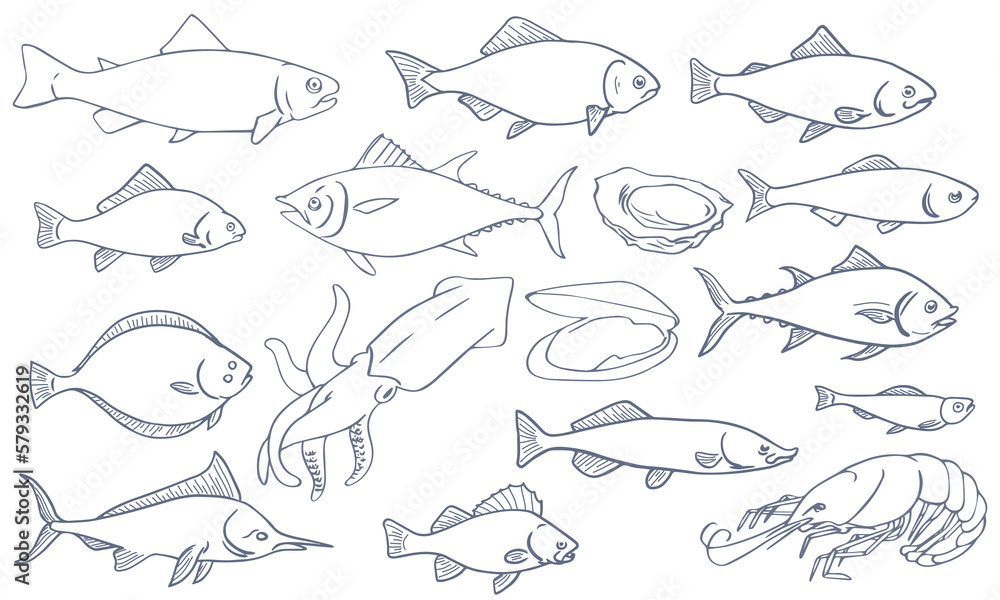 Fish line drawing vector collection Stock Vector | Adobe Stock
