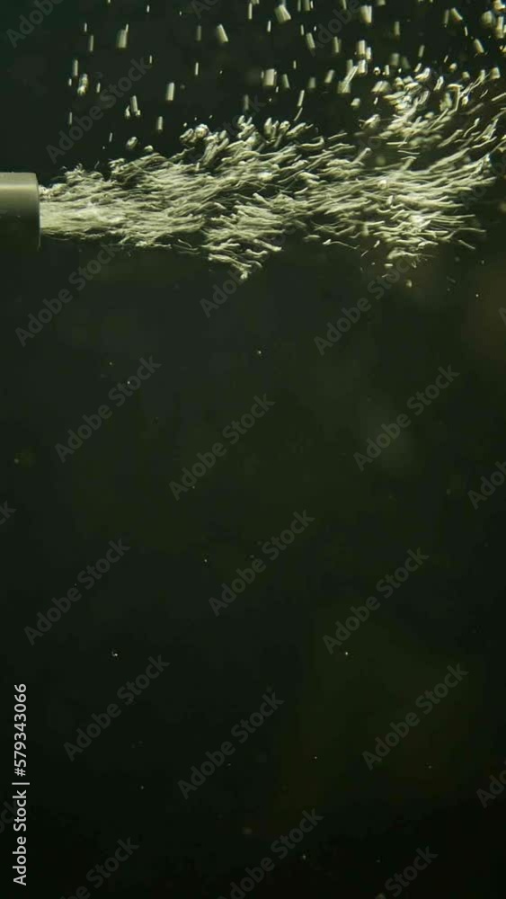 Vertical video of an air diffuser in an aquarium producing many oxygen ...