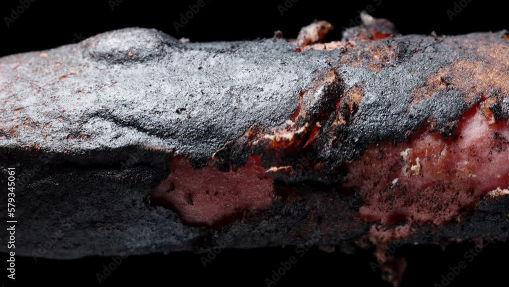 Burnt sausage with the crust torn into pieces. Rotates on a black ...