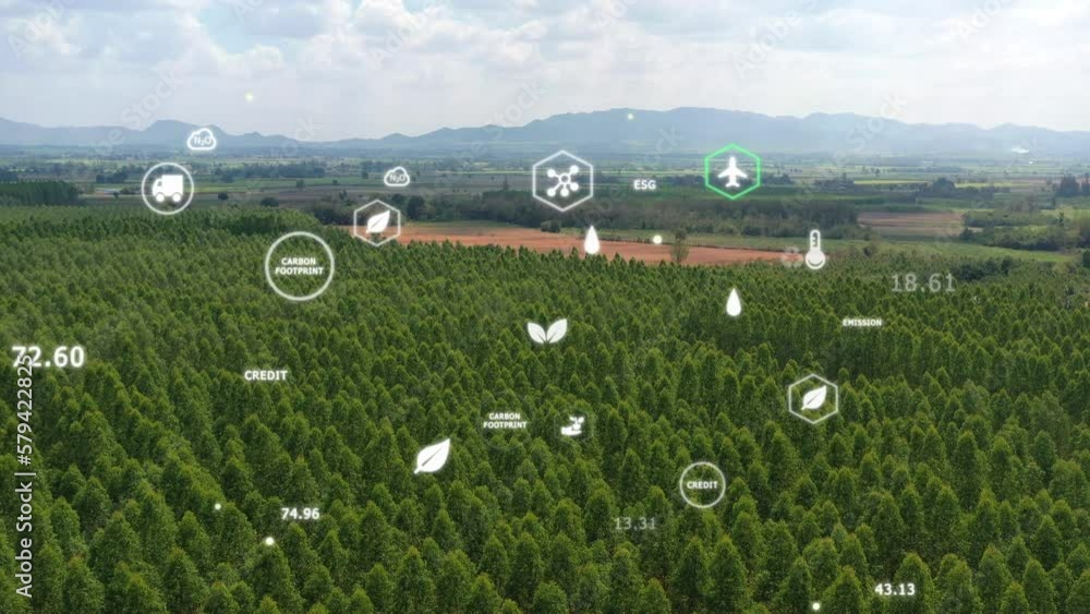 Save the planet earth day low CO2 emission. Aerial forest tree nature ...