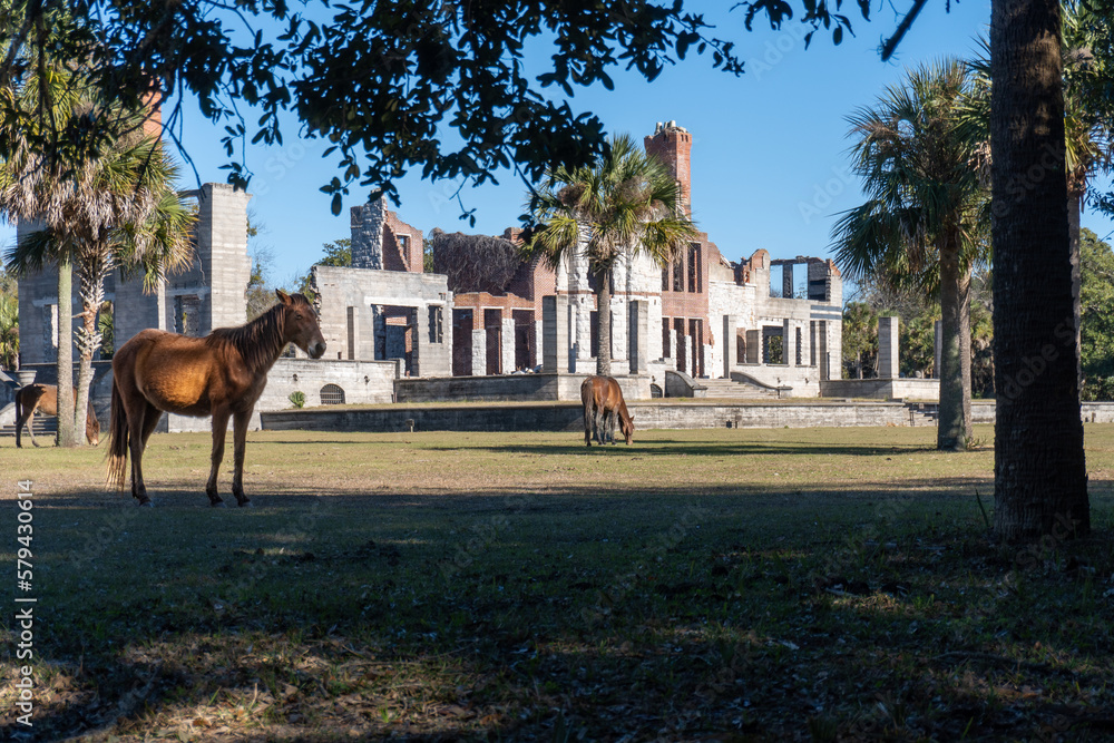 Cumberland Island National Seashore managed by National Park Service ...