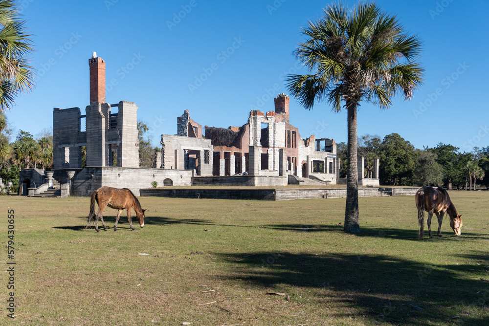Fotka „Cumberland Island National Seashore managed by National Park ...