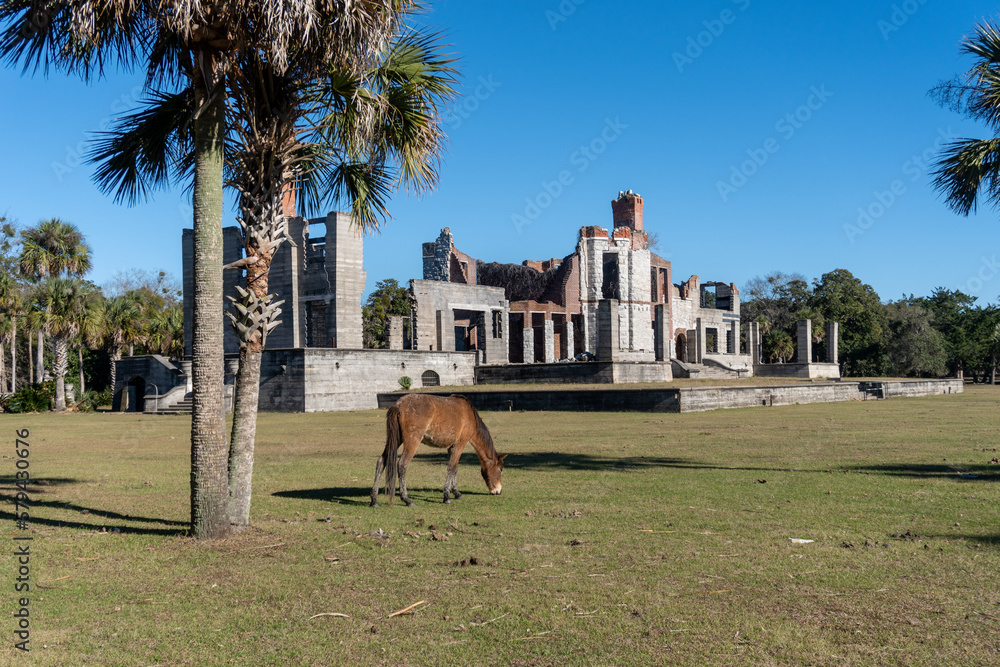 Cumberland Island National Seashore managed by National Park Service ...