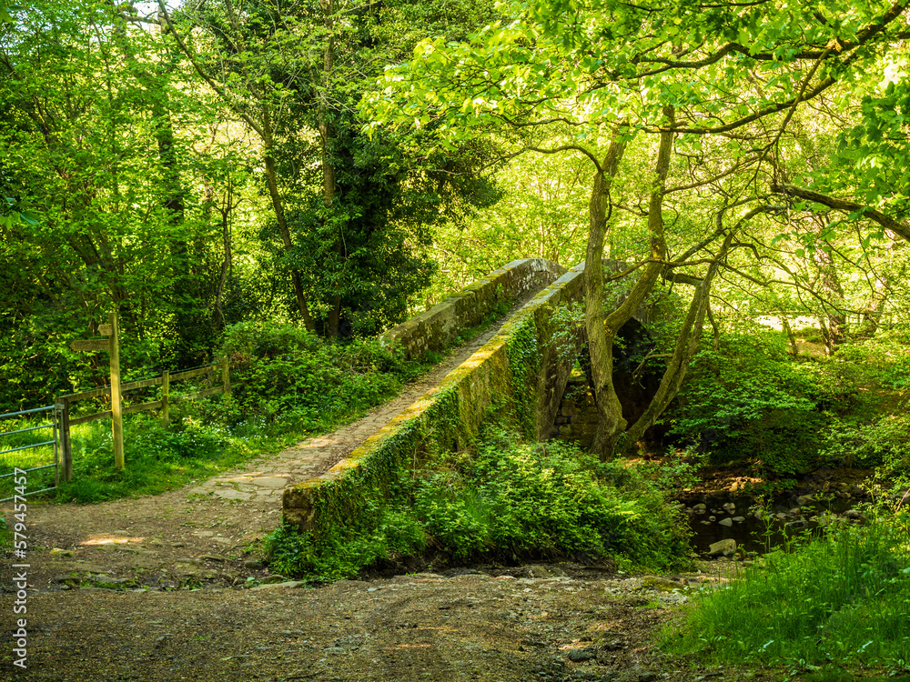 Dob Park pack horse bridge, and ancient crossing over the river ...