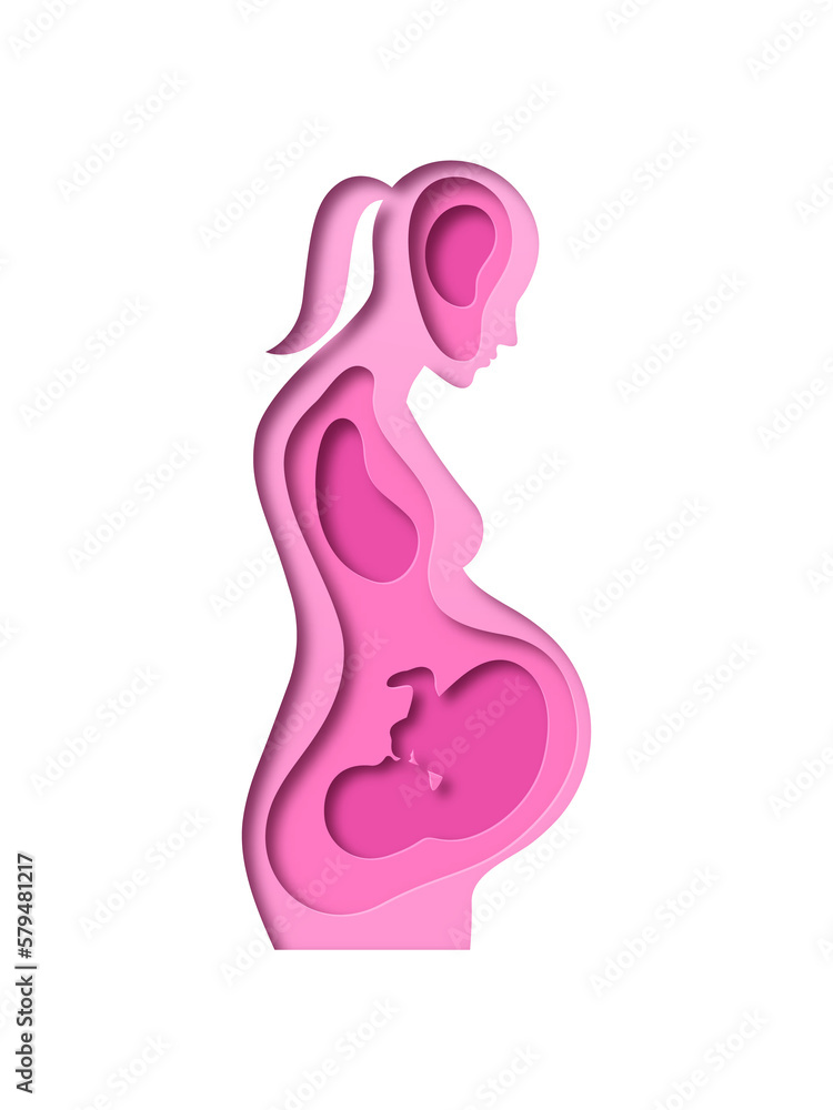Realistic paper cut pregnant woman with baby fetus growing inside. New ...