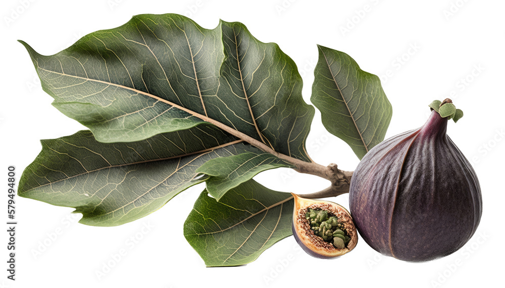describe deep purple figs, with leaves, summer, mission figs ...