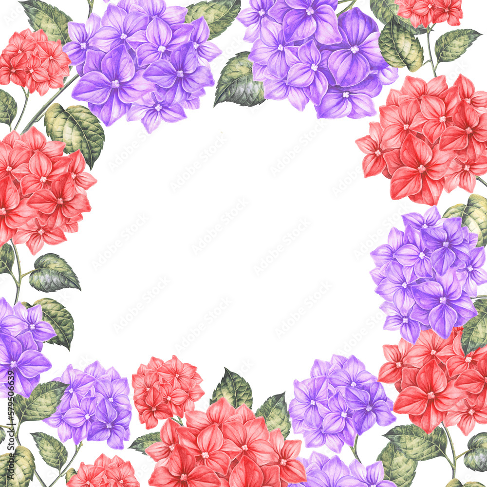 Frame of color hydrangea flowers. Invitation card border template for ...