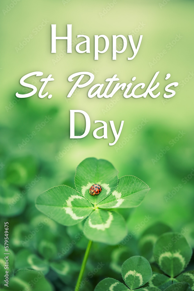 Happy St. Patrick's Day text over unique, rare, and lucky four leaf ...