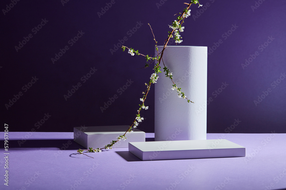 Cylinder podium and rectangle podiums in white displayed on blue ...