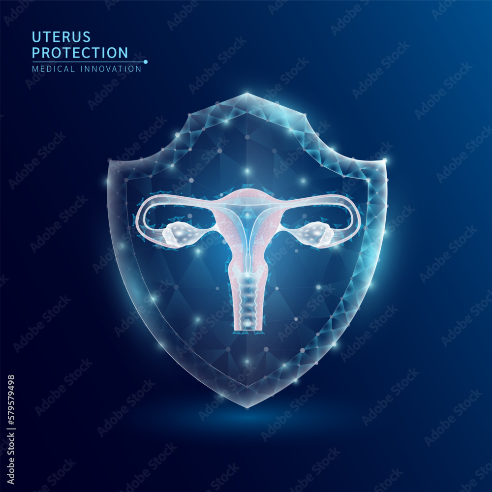 Female uterus anatomy organ translucent low poly triangle inside shield ...