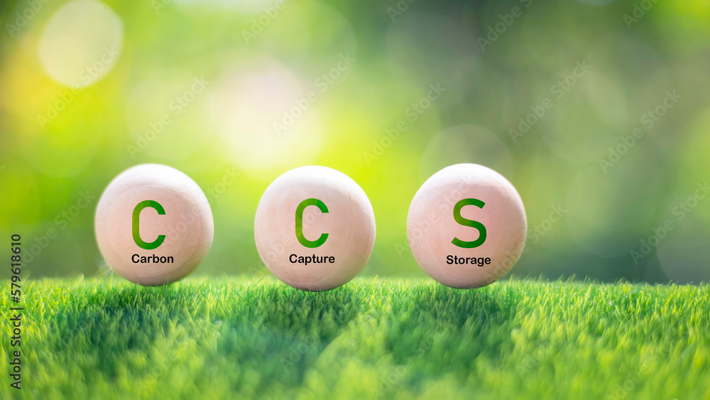 CCS (Carbon Capture and Storage) on wooden blocks on environment ...