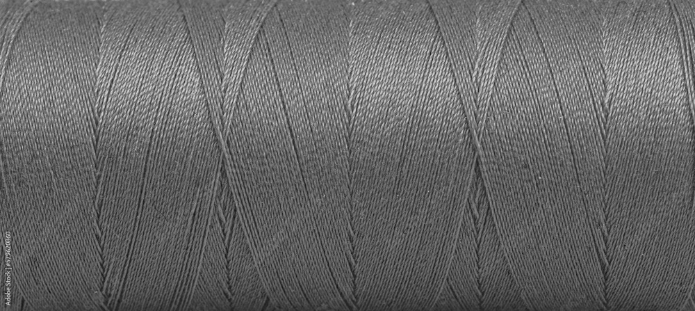 Texture of threads in a spool of grey color on a white background Stock ...