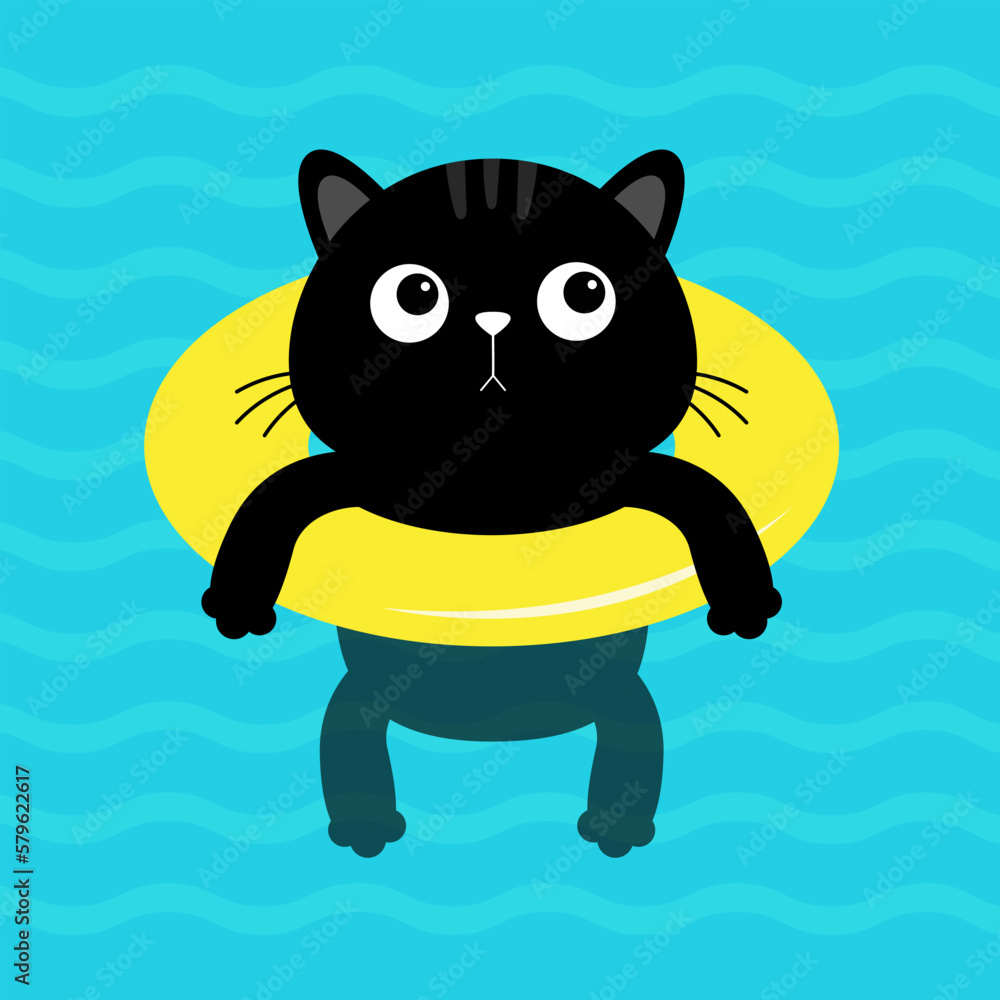Black cat floating on yellow pool float water circle. Top air view ...