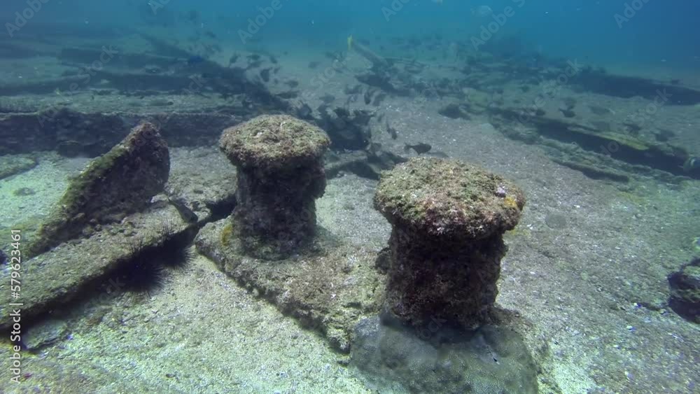Fish swim around a shipwreck underwater. Colors and patterns of coral ...