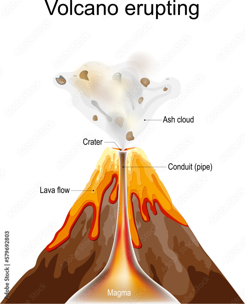 volcano eruption. Cross section of volcano Stock Vector | Adobe Stock