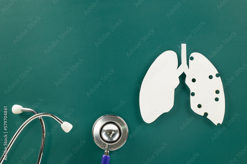 World Tuberculosis Day. Top view of lungs paper symbol and medical ...