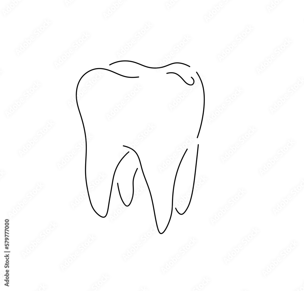 Vector isolated one single big large molar tooth with four roots ...