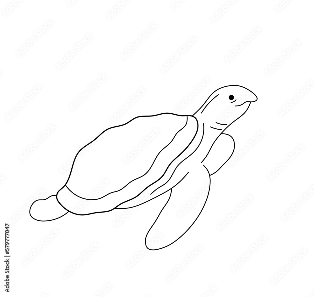 Vector isolated one single swimming sea turtle underwater colorless ...