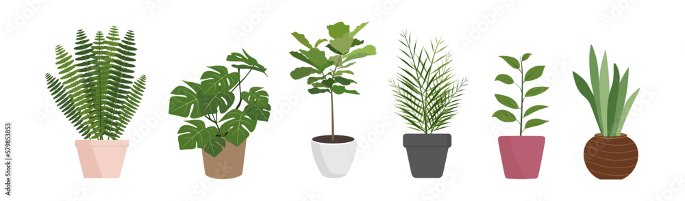 Indoor house plants vector set in flat style illustration. Houseplant ...