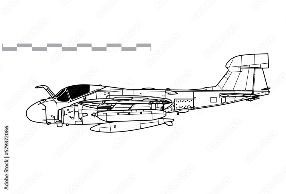 Grumman EA-6A Prowler. Vector drawing of carrier based electronic ...