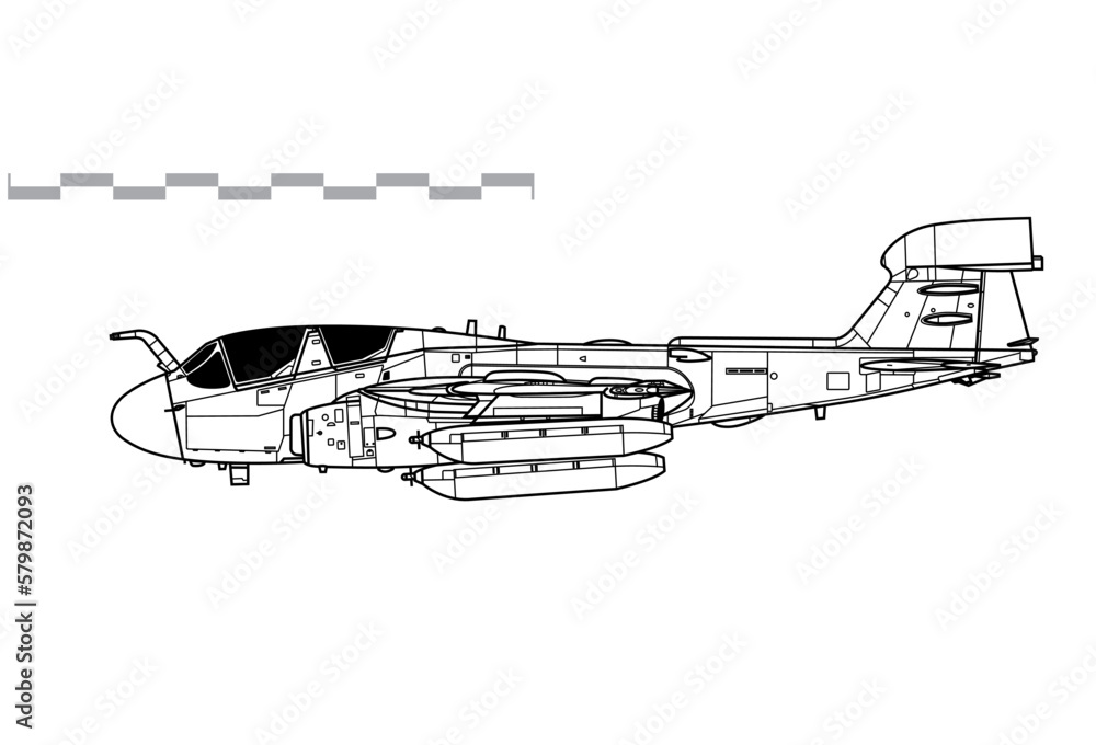 Grumman EA-6B Prowler. Vector drawing of carrier based electronic ...