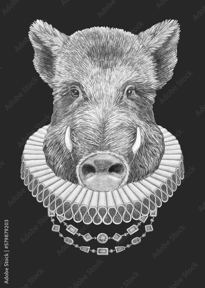 Portrat of Boar with Elizabethan Collar. Hand-drawn illustration Stock ...