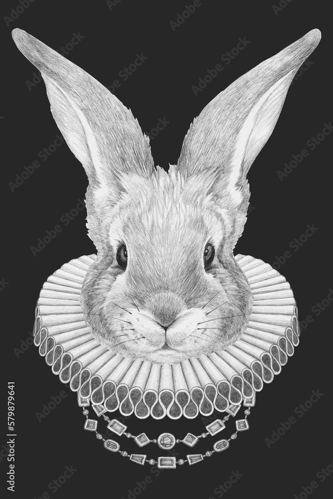 Portrat of Rabbit with Elizabethan Collar. Hand-drawn illustration ...