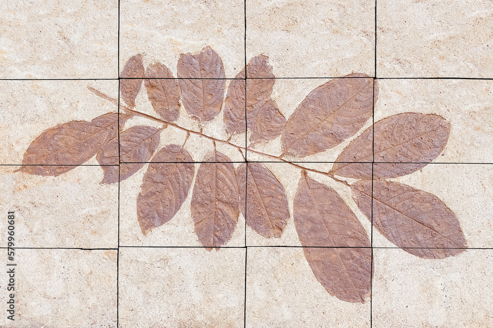 tiles wall of marks leaf or marks of leaf on the concrete wall texture ...