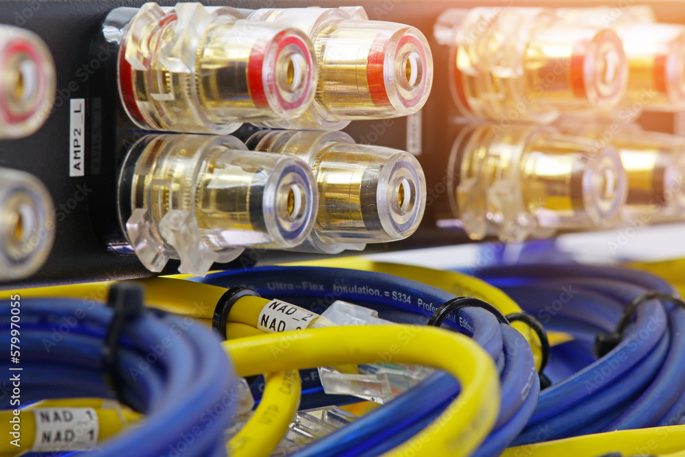 Speaker terminal sockets for connecting speaker systems. Installed in a ...