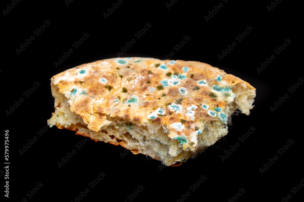 Mold on bread close-up macro. Mold on food. Fluffy mold spores as a ...