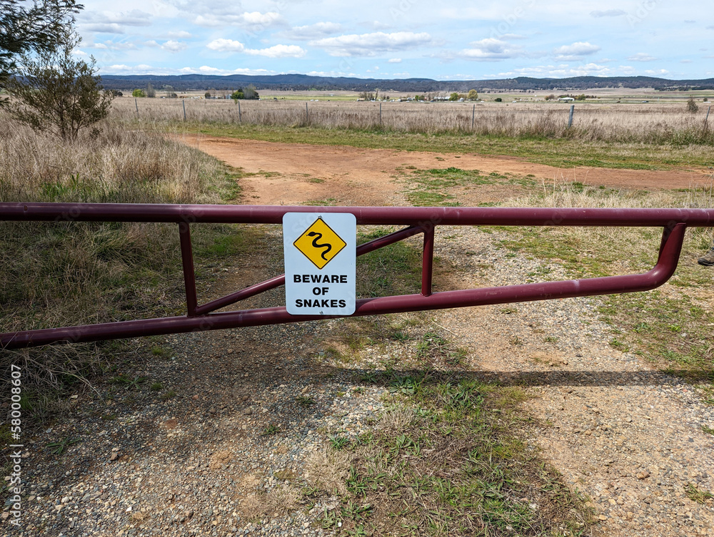 snake, beware of snakes, warning, australian capital territory ...