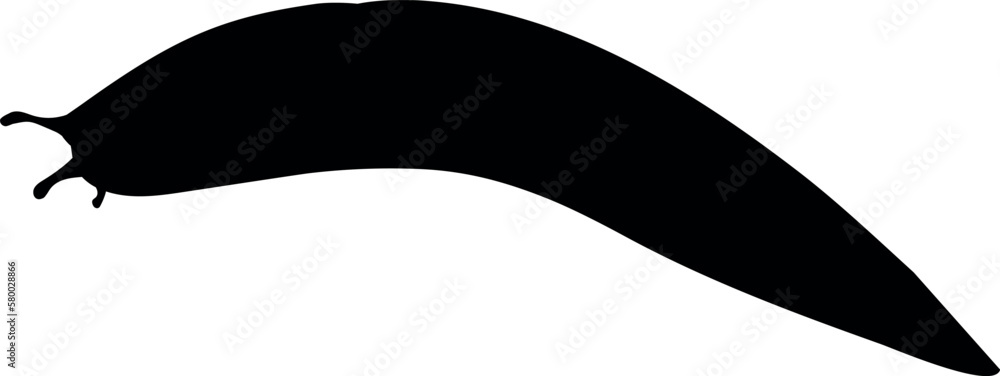 Black silhouette of slug isolated on white background Stock Vector ...
