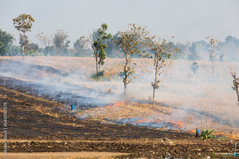 Photo & Art Print burning farms of villagers along the Thai-Myanmar ...