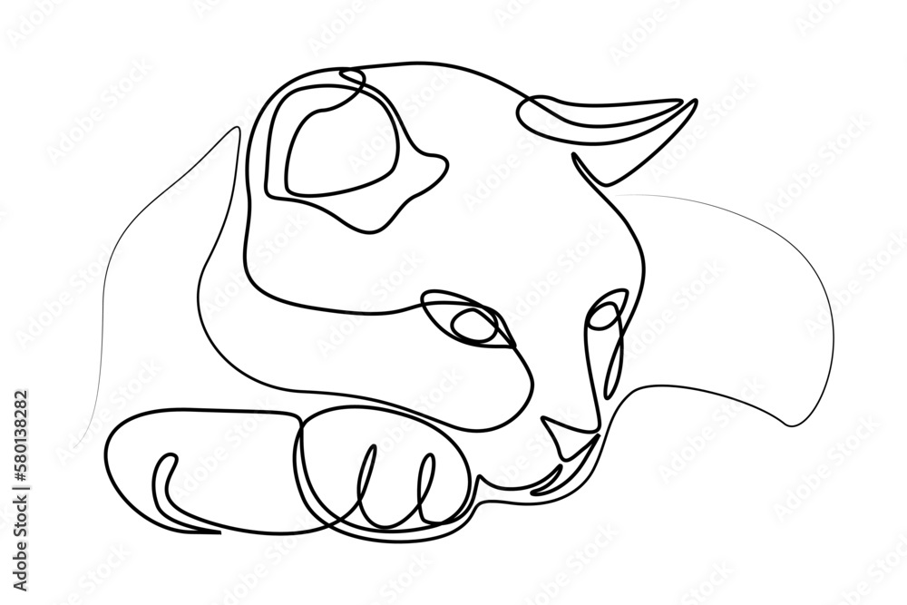 Linear drawing of a cat, vector illustration isolated from the ...