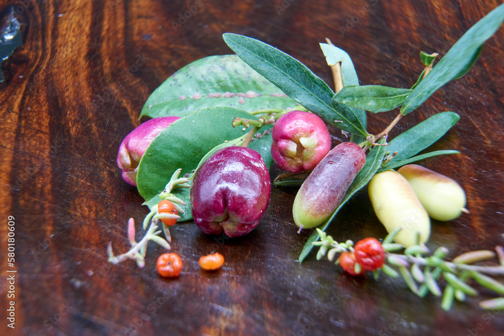 Closeup of the berries of Acmena smithii Minor and Syzygium smithii ...