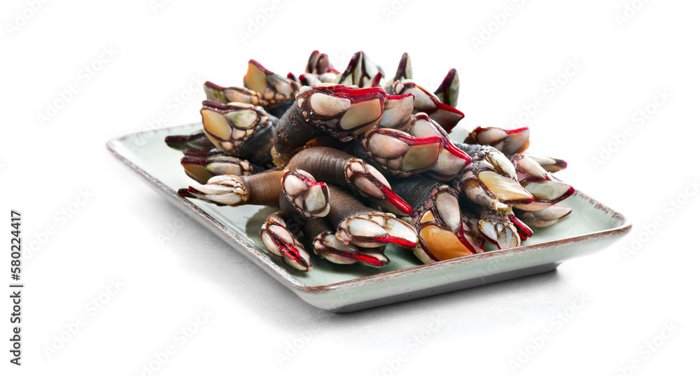 Barnacles, goose neck barnacle, percebes, gallician barnacles in a ...