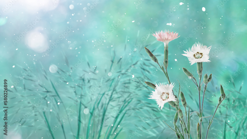 Blurred gentle spring background with carnation flowers and sun rays on ...